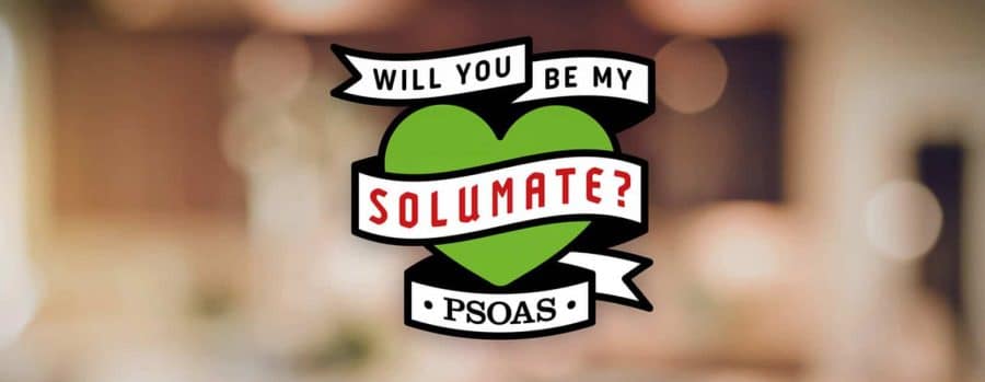 Solumate-ing or how to make shared living a breeze | PSOAS